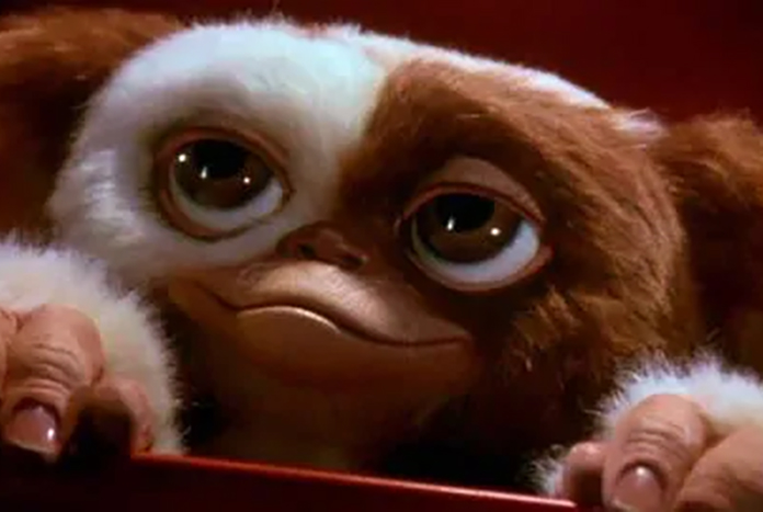 Gremlins Creator Feels Grogu was Blatant Ripoff of the Mogwai - Jedi News